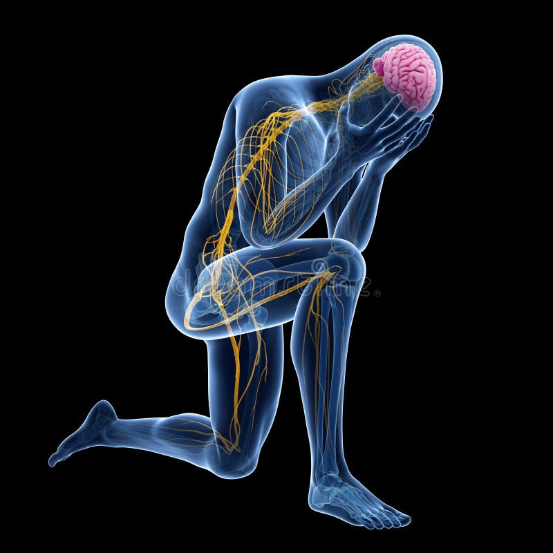 Depression Illustration - Visible Anatomy Stock Illustration ...