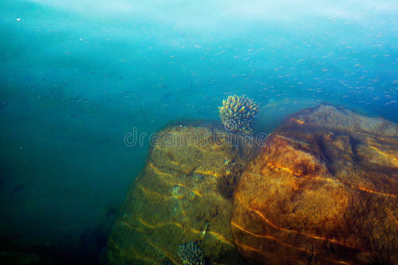 In Depth of the Red Sea Waters Stock Photo - Image of morning, saling ...