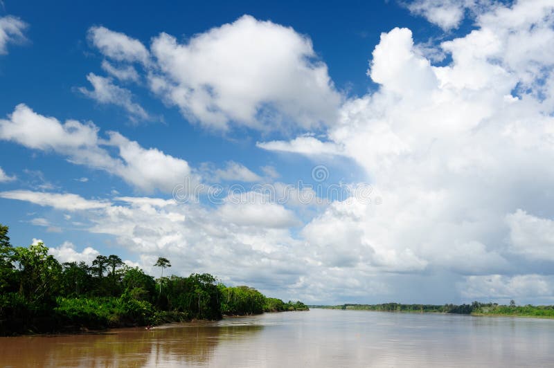 Der Amazonas-Landschaft in Brasilien Stockfoto - Bild von ökologie ...