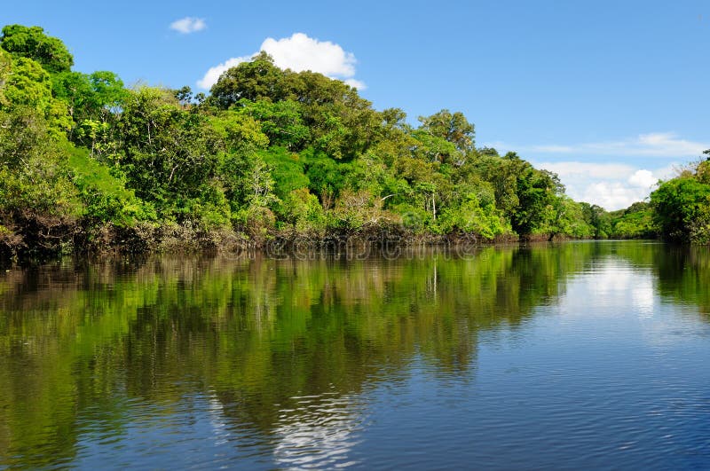 Der Amazonas-Landschaft in Brasilien Stockbild - Bild von nave, wald ...
