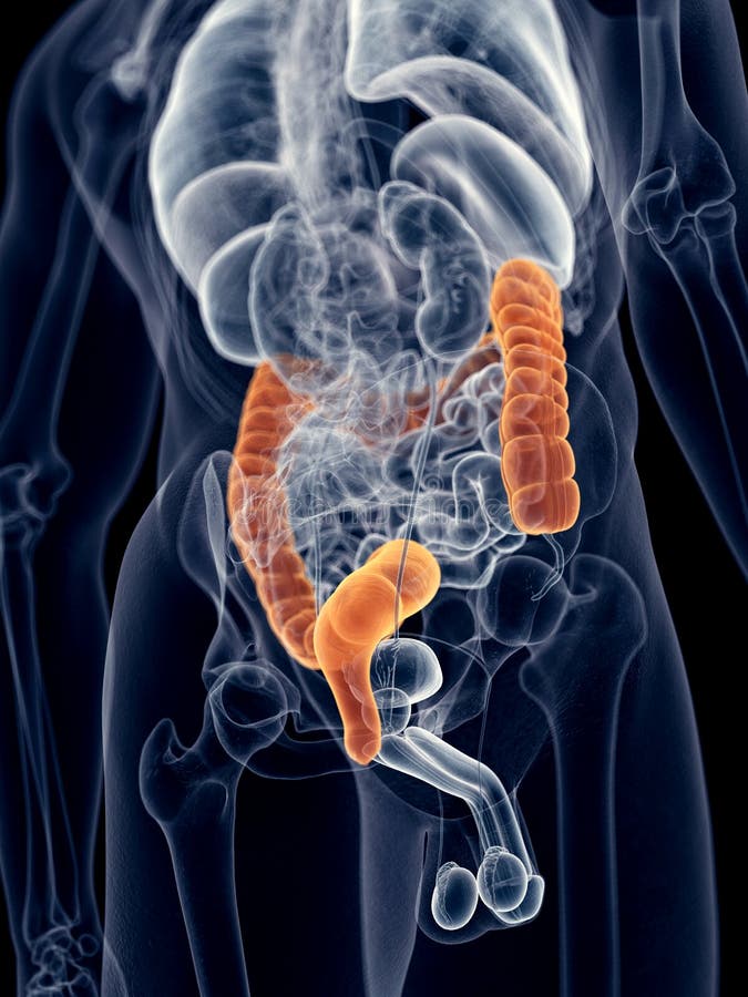 Der Doppelpunkt stock abbildung. Illustration von blau - 57000216