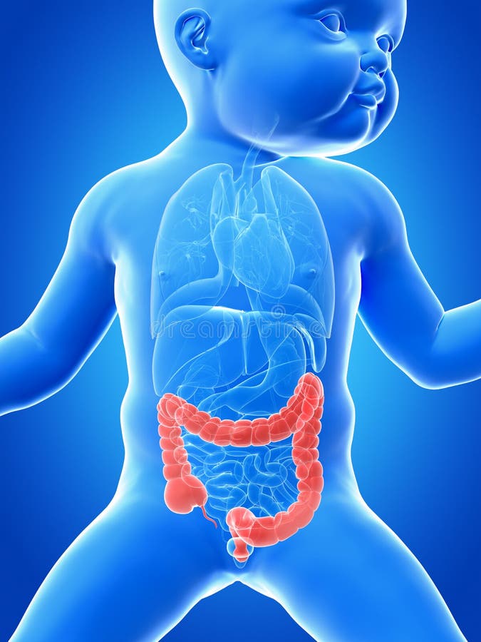 Der Doppelpunkt Eines Babys Stock Abbildung - Illustration von graphik ...