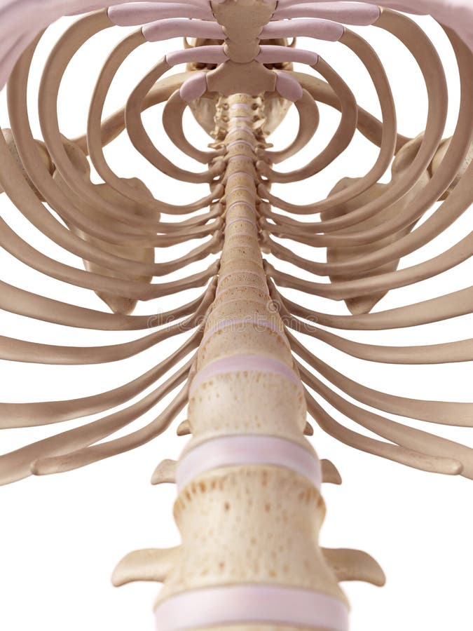 Der Dorn stock abbildung. Illustration von gestaltungsarbeit - 56652254