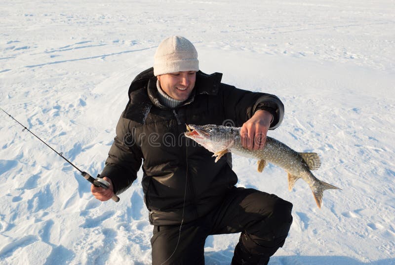Winterfischen. Gerade Liegt Aufgefangener Fisch Auf Eis. Stockbild ...