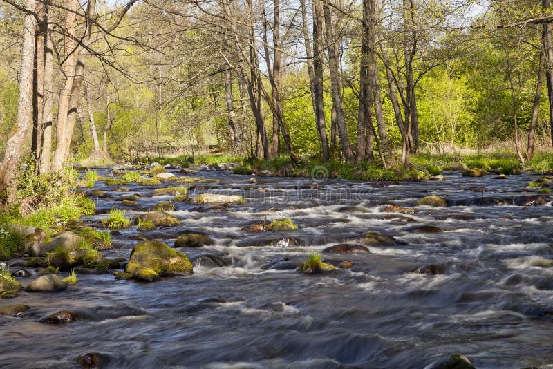 Fluss im Wald - HDR stockbild. Bild von drehzahl, laub - 51914797