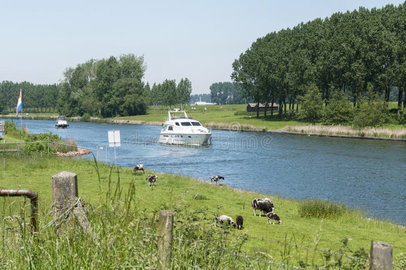Der Fluss Maas in Holland stockfoto. Bild von gras, markierungsfahne ...