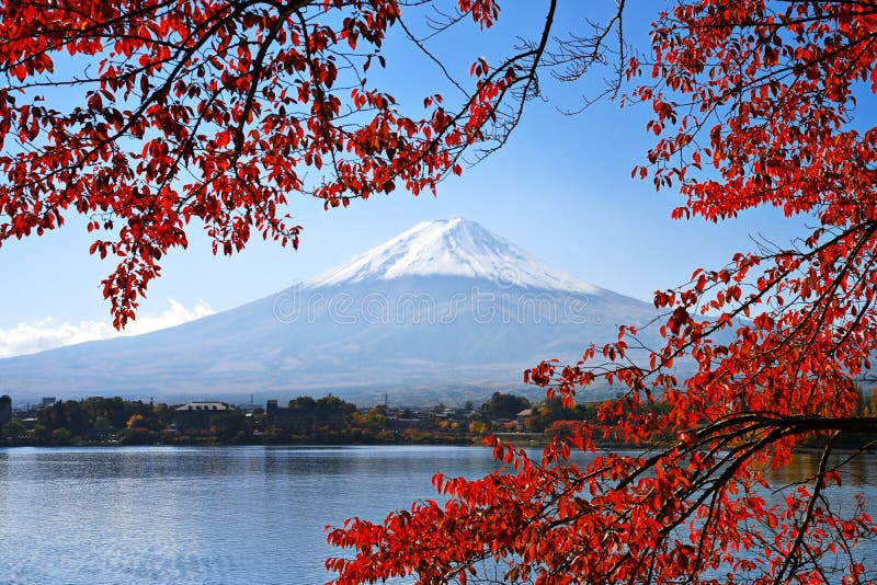 Der Fujisan im Herbst stockfoto. Bild von saisonal, landwirtschaftlich ...