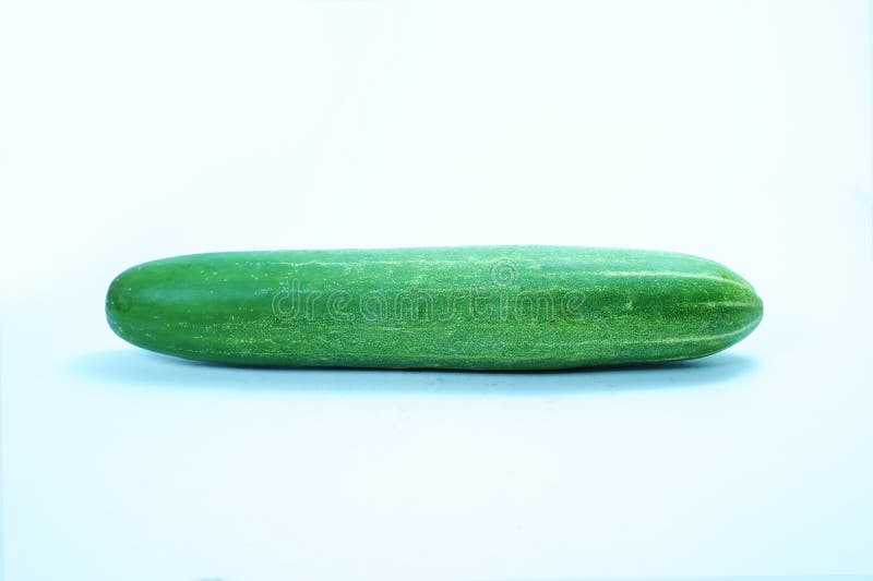 Der Gurke Cucumis Sativus stockbild. Bild von garten - 147254653