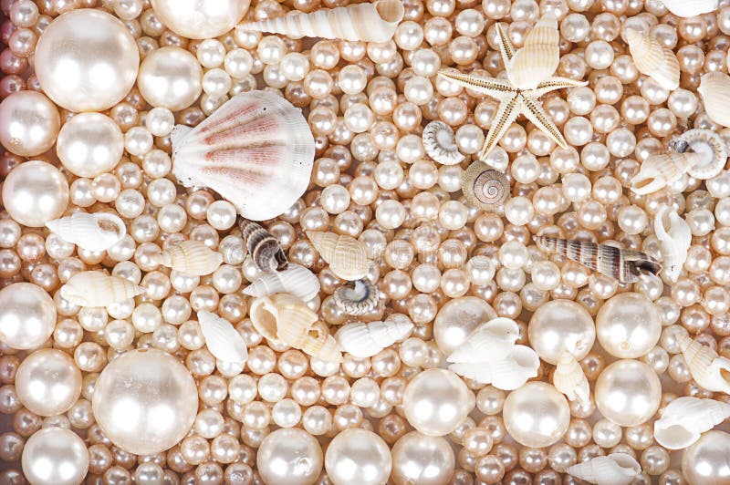 Der Hintergrund Von Perlen Und Muscheln Stockbild - Bild von schalen ...