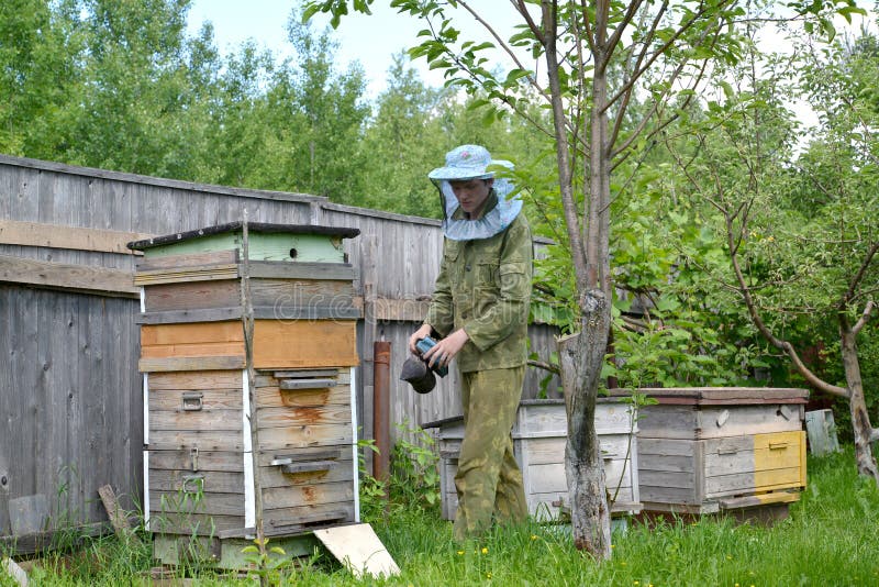 Der Junge Imker Mit Dymary Auf Einem Bienenhaus Stockbild - Bild von ...