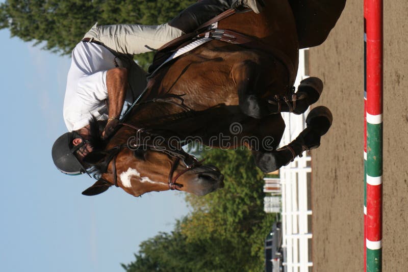 Der Mann Oxer springend stockbild. Bild von teamarbeit - 2084471