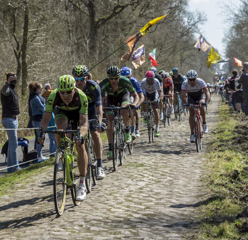 Der Peloton Im Wald Von Arenberg- Paris Roubaix 2015 Redaktionelles ...