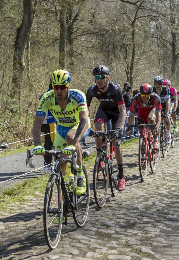 Der Peloton Im Wald Von Arenberg- Paris Roubaix 2015 Redaktionelles ...
