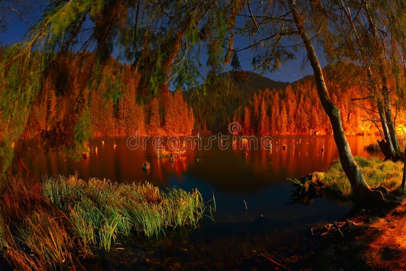 Der Rote See Oder Killer See, Ost-Karpaten, Rumänien Stockfoto - Bild ...
