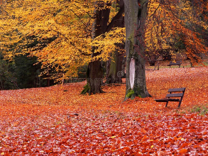 Der Sitz im Park stockfoto. Bild von sitze, bank, nave - 1464028