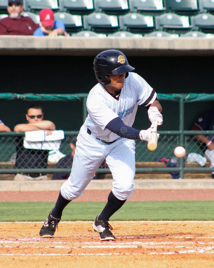 Derek Toadvine, Charleston RiverDogs Editorial Stock Image - Image of ...