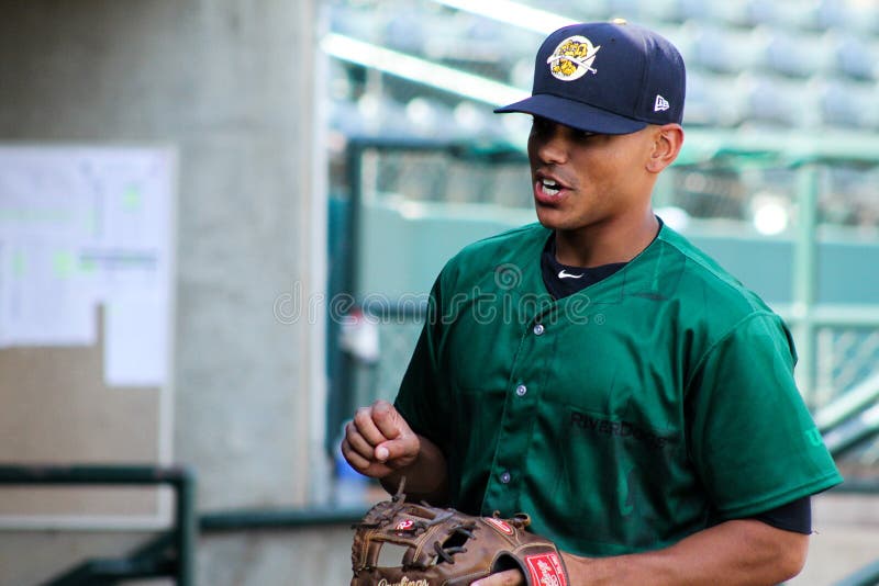 Toadvine Tattoo Stock Photos - Free & Royalty-Free Stock Photos from ...