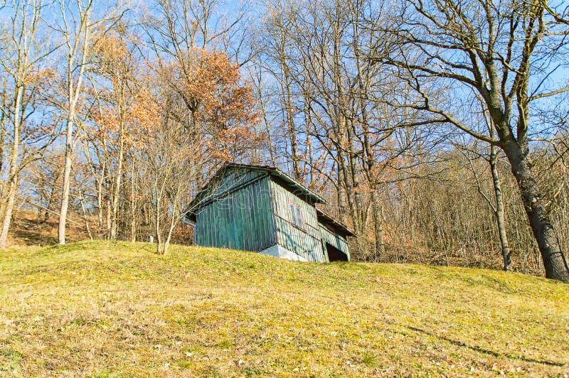 Derelict Barn in the Forest Stock Photo - Image of dilapidated ...