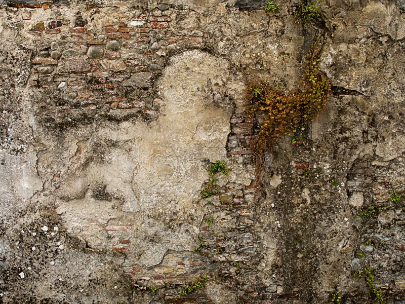 Derelict, Old Wall - with Cracks, Patches and Plants Stock Photo ...