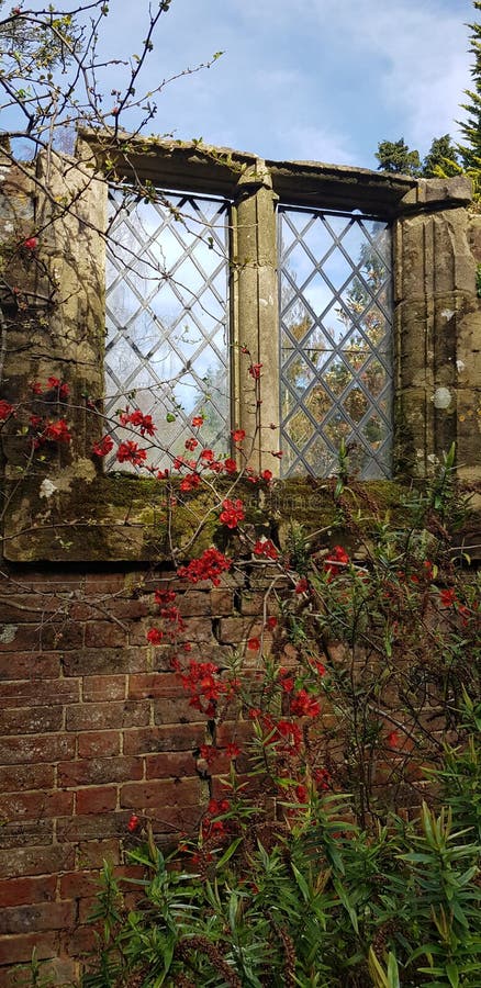 Derelict window frame. stock photo. Image of frame, outside - 176660010