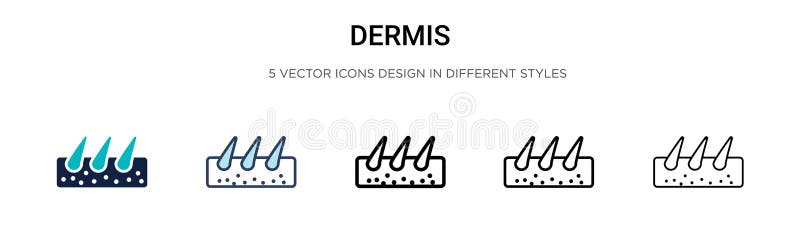 Dermis Line Icons Stock Illustrations – 88 Dermis Line Icons Stock ...