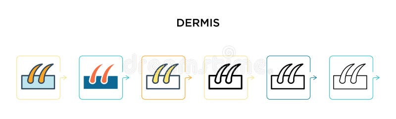 Outline Dermis Vector Icon. Isolated Black Simple Line Element Illustration from Medical Concept ...
