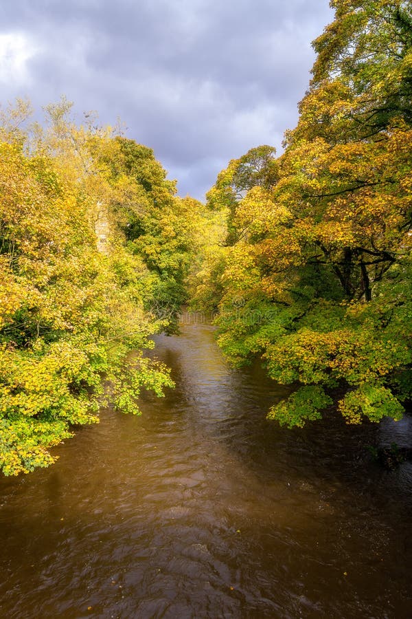 Derwent River in the Peak District, England Stock Photo - Image of ...