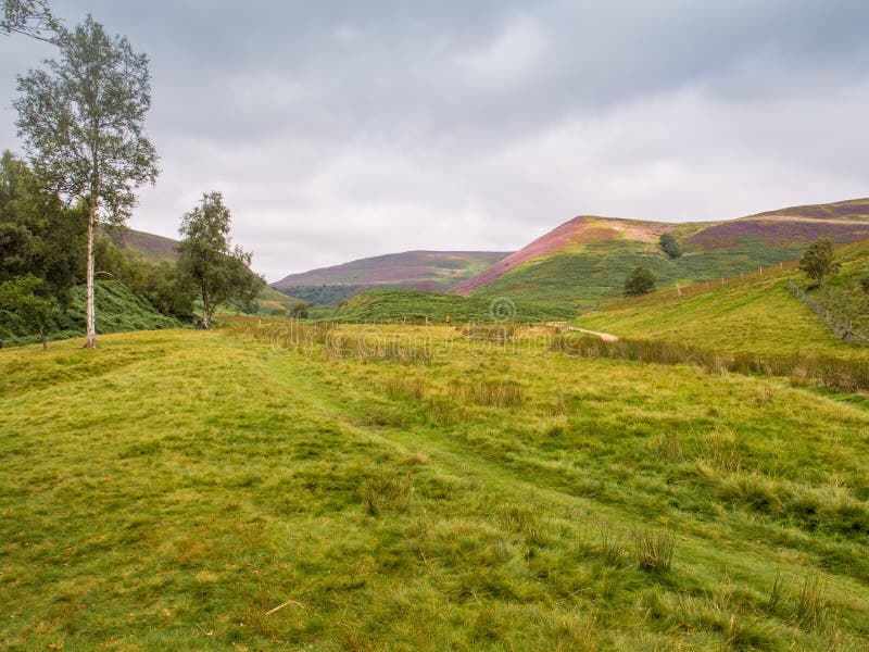 Derwent stock photo. Image of outdoors, derbyshire, fell - 65102556