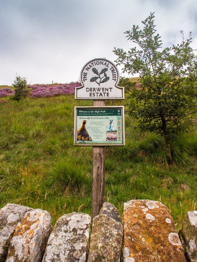 Derwent stock image. Image of shrubland, trail, paths - 65102563