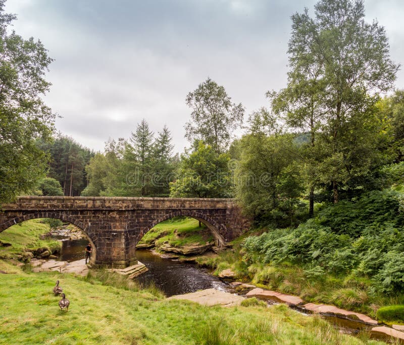 Derwent stock photo. Image of bridge, grass, countryside - 65102574
