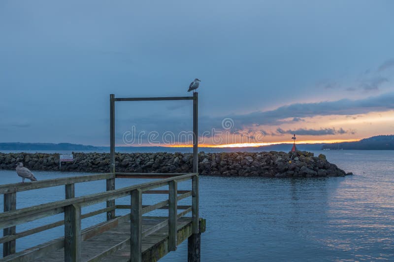 Des Moines Marina Sunset stock photo. Image of bird, jetty - 83497140