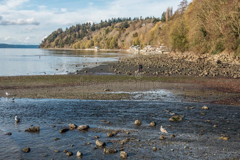 Des Moines Shoreline stock photo. Image of fall, shoreline - 82369156
