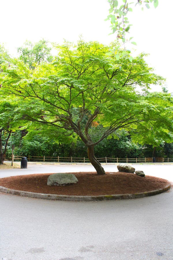 Des Moines Washington Park Landscape Stock Image - Image of tree, foot ...