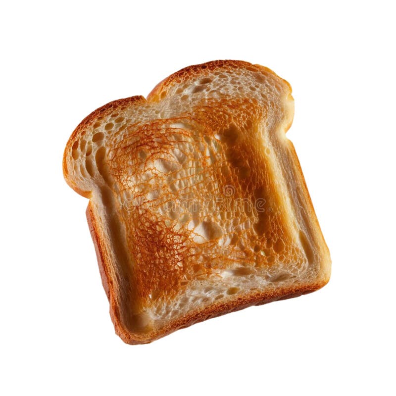 One Slice of Toast on a White Background Stock Illustration ...