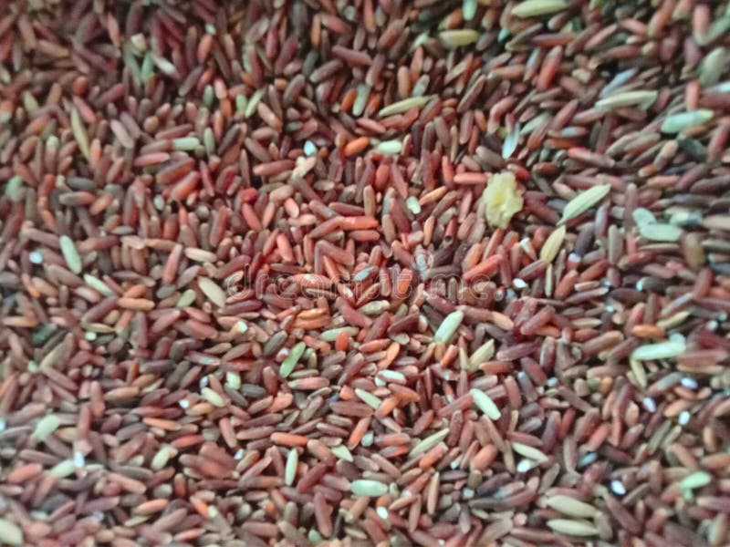 Closeup of Uncooked Chipolata Sausages. Stock Image - Image of ...