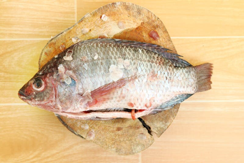 Descaling Fish on a Wooden Board with an Old Knife. Sea Bream on a ...