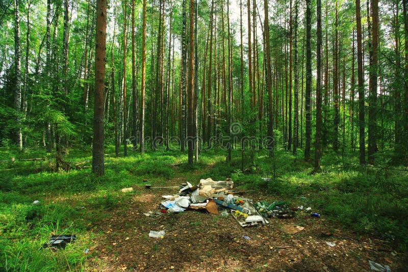 Descarga De Basura En Bosque Imagen de archivo - Imagen de ilegal ...