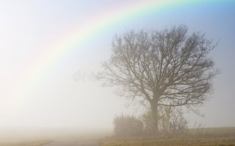 Descending Fog in Autumn with Rainbow Stock Image - Image of mystical ...