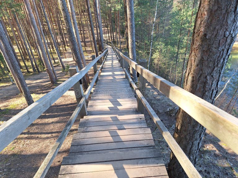 Descending the Ladder from the Observation Deck in the Forest Stock ...