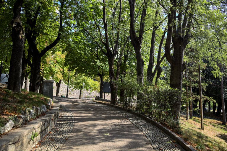 Descending Paved Path in a Park Stock Image - Image of beeline ...