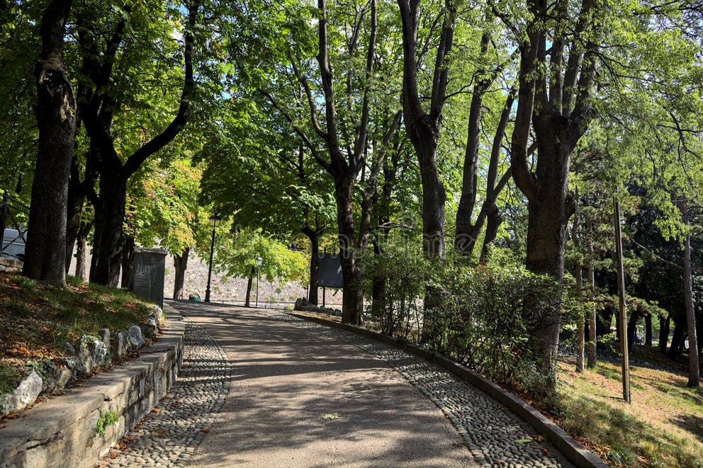 Descending Paved Path in a Park Stock Image - Image of beeline ...