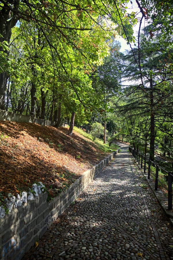 Descending Paved Path in a Park Stock Photo - Image of empty, adventure ...