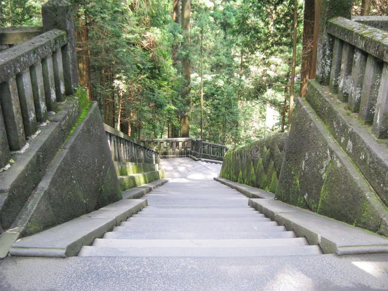 Descending Stone Stairs in an Ancient Forest Stock Photo - Image of ...