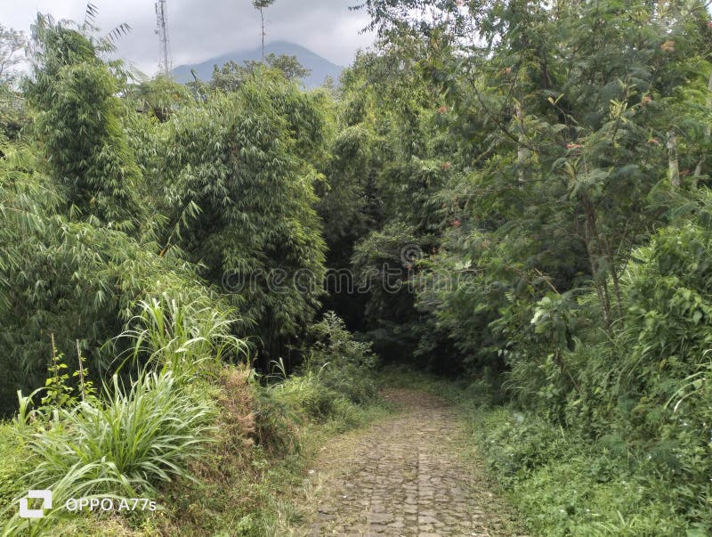 Descent of the Hill in TLOGOMULYO Village, Central Java Stock Image ...