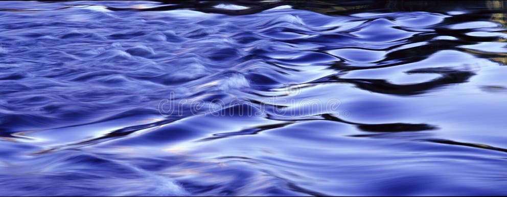 Deschutes Blue stock image. Image of deschutes, forest - 16999175