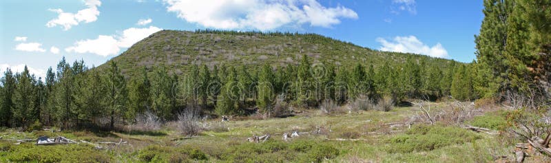 Prut River in the Wild Forest Stock Image - Image of green, mountain ...