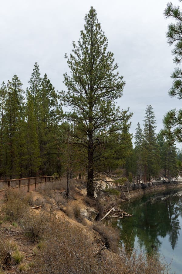 The Deschutes River Meanders through La Pine State Park in Central ...