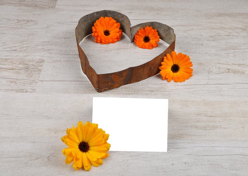 173 Describable Stock Photos - Free & Royalty-Free Stock Photos from ...