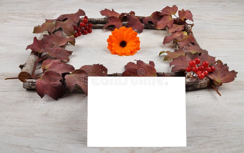 Describable card stock image. Image of table, label, marigold - 59409455