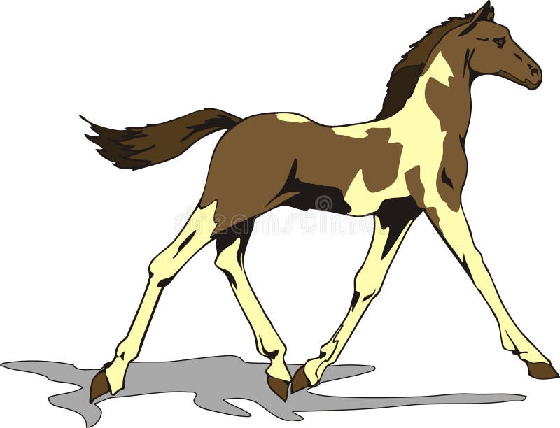 Desenho Bonito Do Potro, Cor Ilustração do Vetor - Ilustração de arte ...